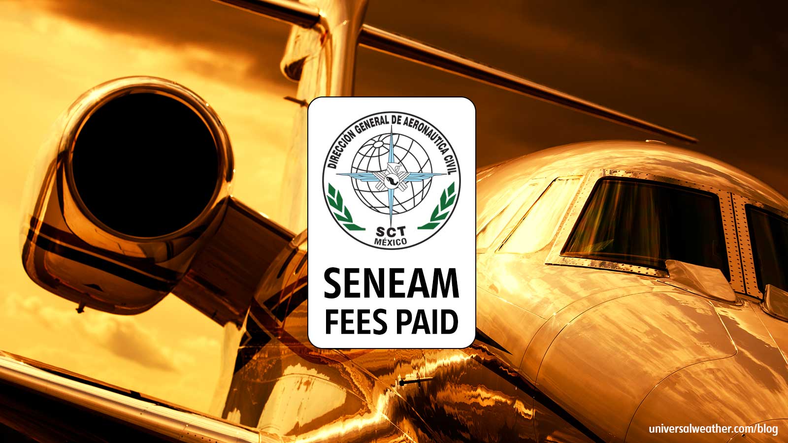 Mexico: 2025 Business Aviation Destination Guide